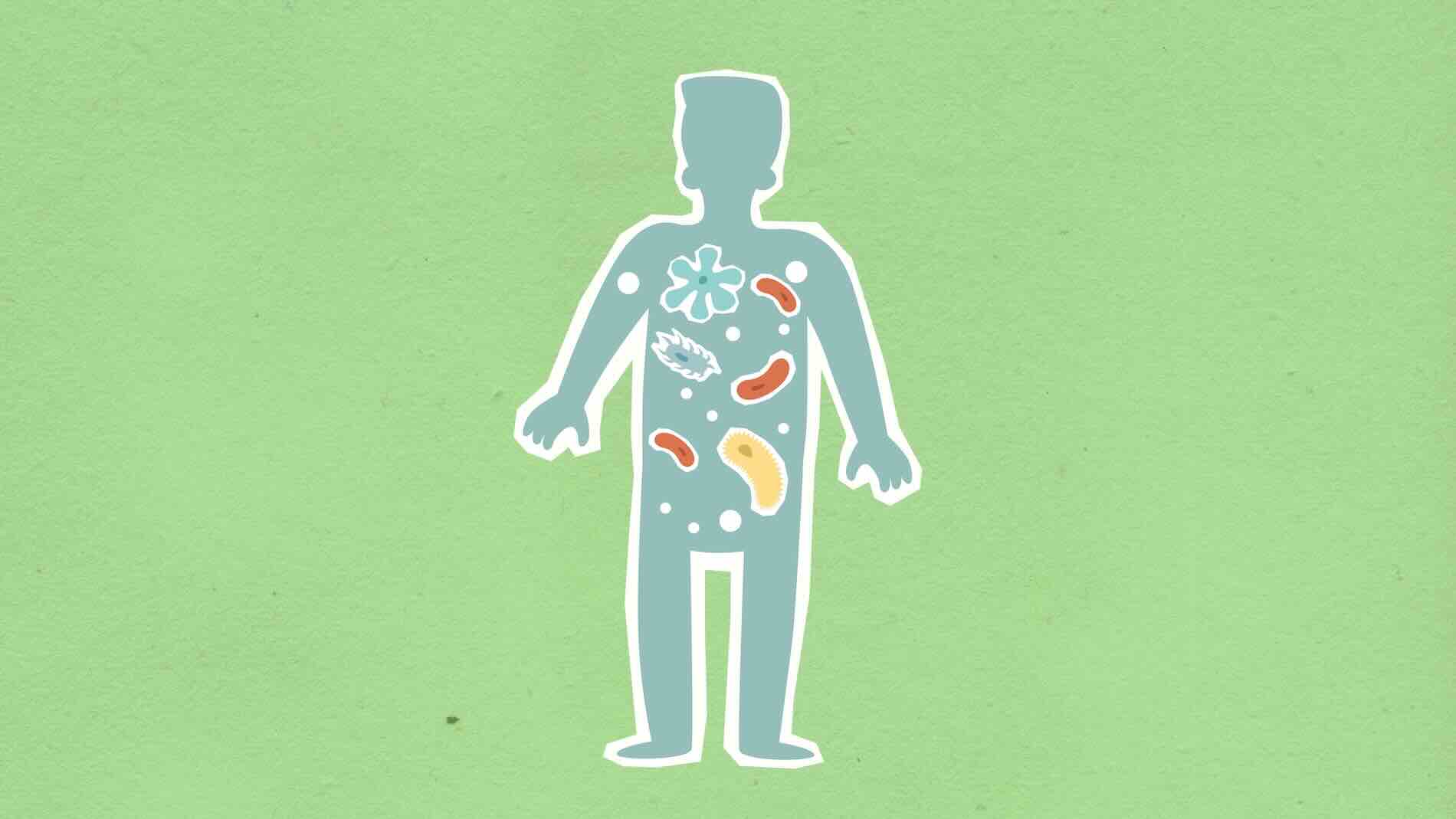 5 Ways to Fix Your Gut Biome (And Why You Might Need To) - BiomedJ